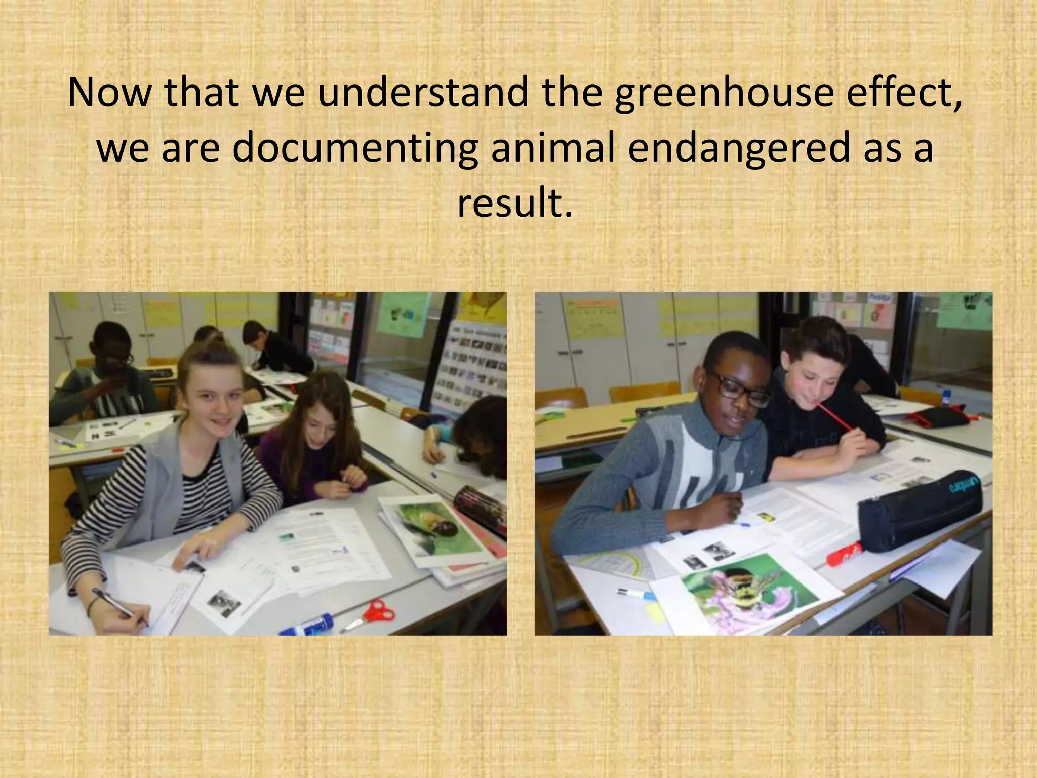 Les animaux en voie de disparition anglais | PPTX