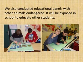 Les animaux en voie de disparition anglais | PPTX | Environment | Science