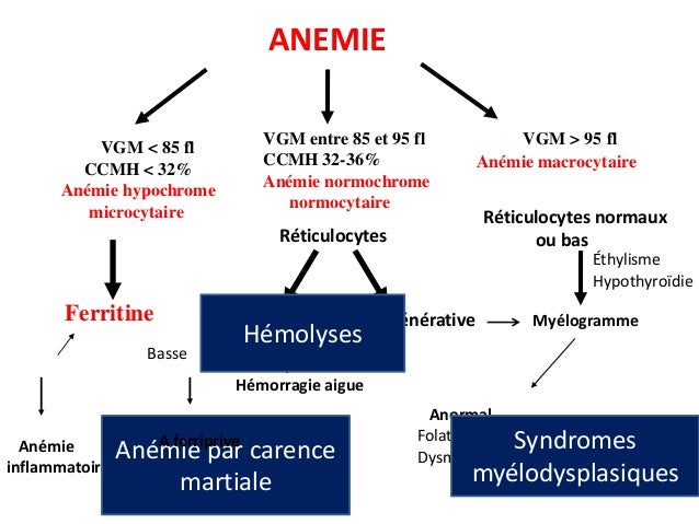 Les anémies du sujet âgé M. Maamar