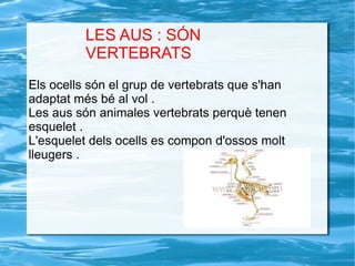 Les aus | PPT