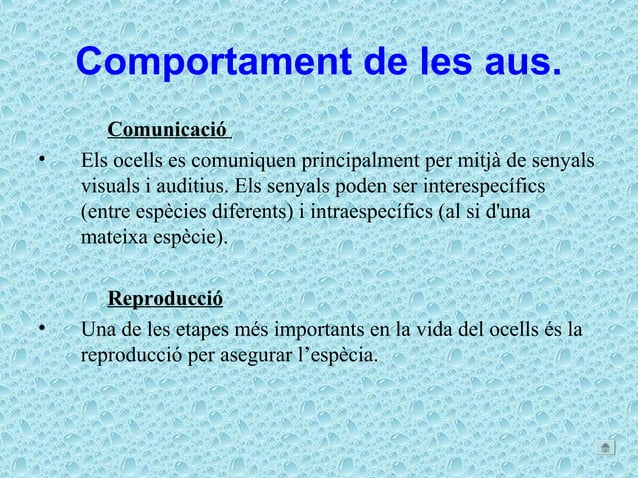 Les aus | PPT