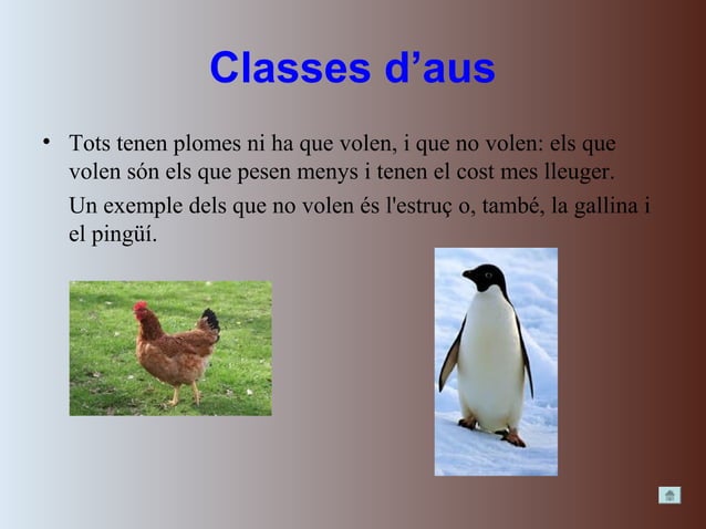 Les aus | PPT