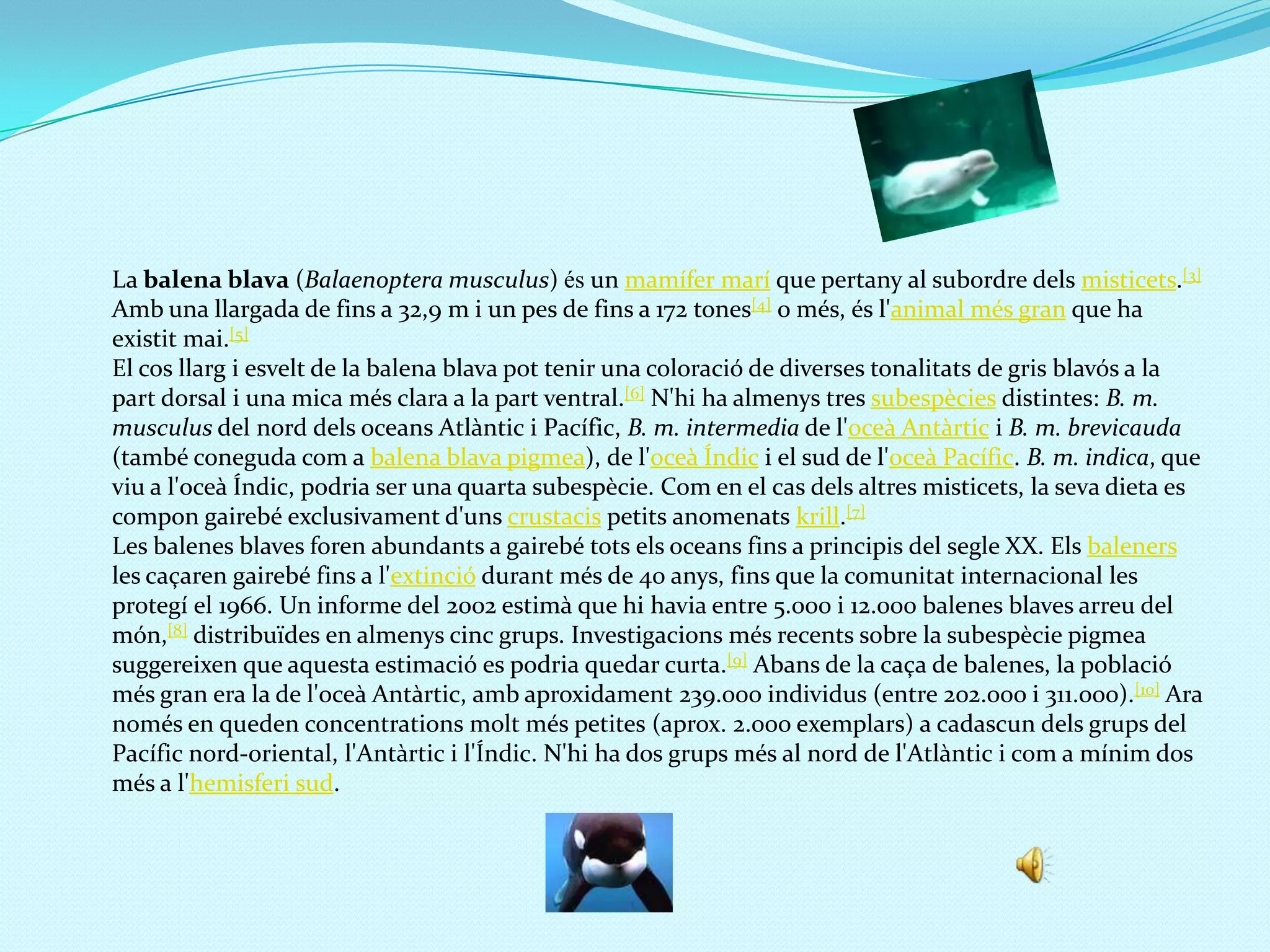 Les balenes 2012 | PPSX