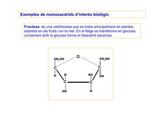 Les biomolècules i el metabolisme-1.ppt