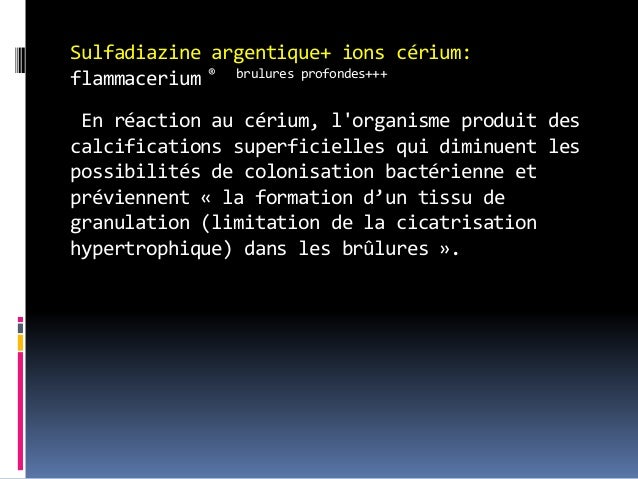 cat devant une brulure