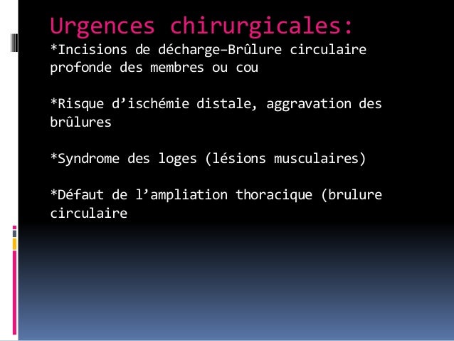 cat devant une brulure