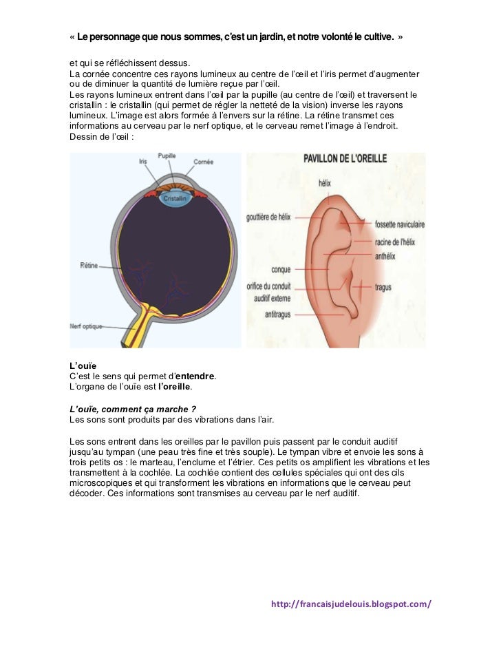 Les cinq sens de l'humanité