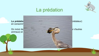 les écosystèmes biotope et biocénose - final vrsion.pptx
