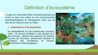 les écosystèmes biotope et biocénose - final vrsion.pptx