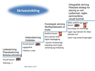 Lese- og skrivevansker 2017 | PPTX