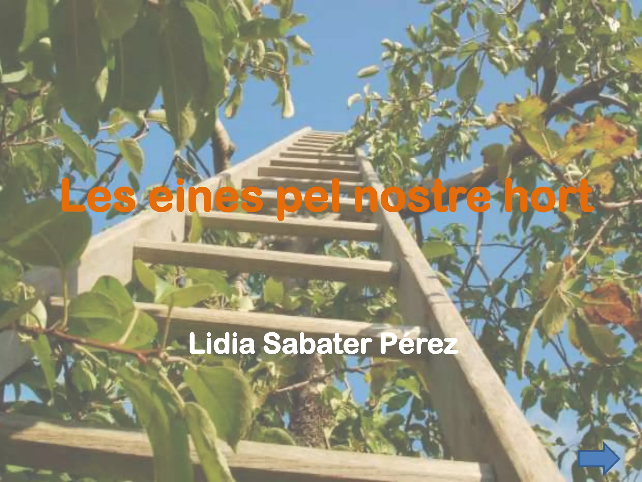 Les eines pel nostre hort | PPTX