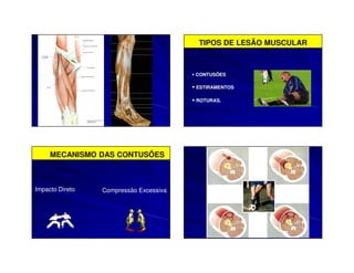 lesões musculares.pdf