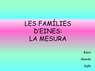 Les famílies d’eines | PPTX