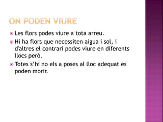 Les flors | PPTX
