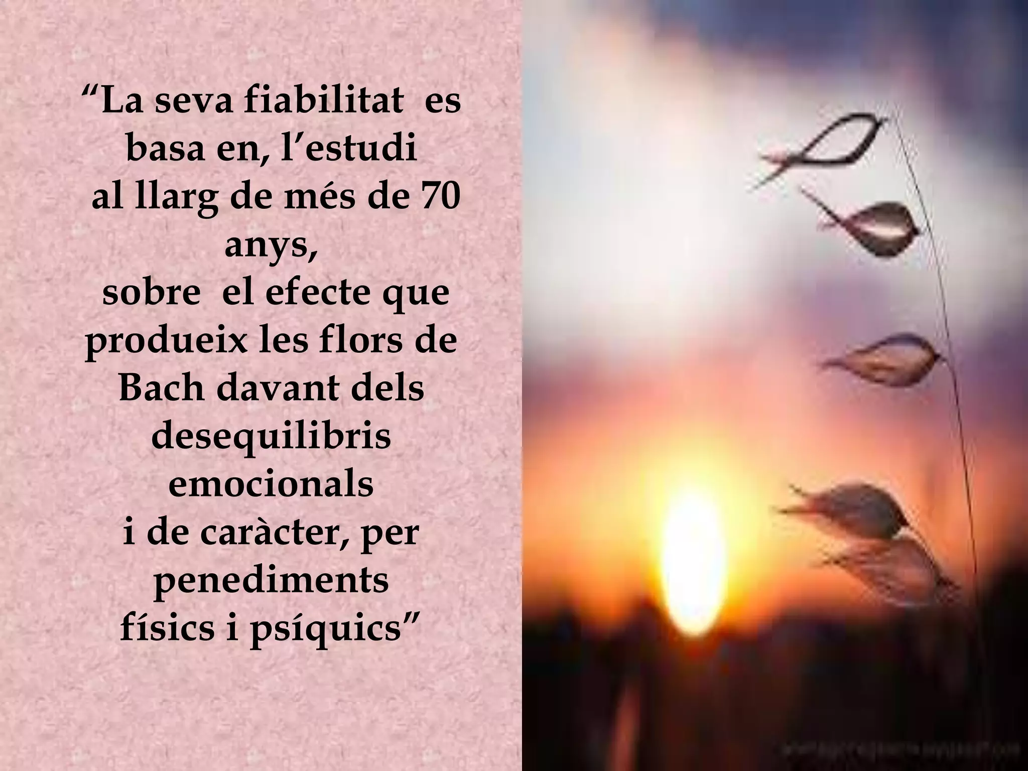 Les flors del Dr. Bach | PPTX