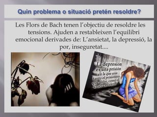 Les flors del Dr. Bach | PPTX