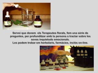 Les flors del Dr. Bach | PPTX