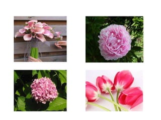 Les flors roses | PPT