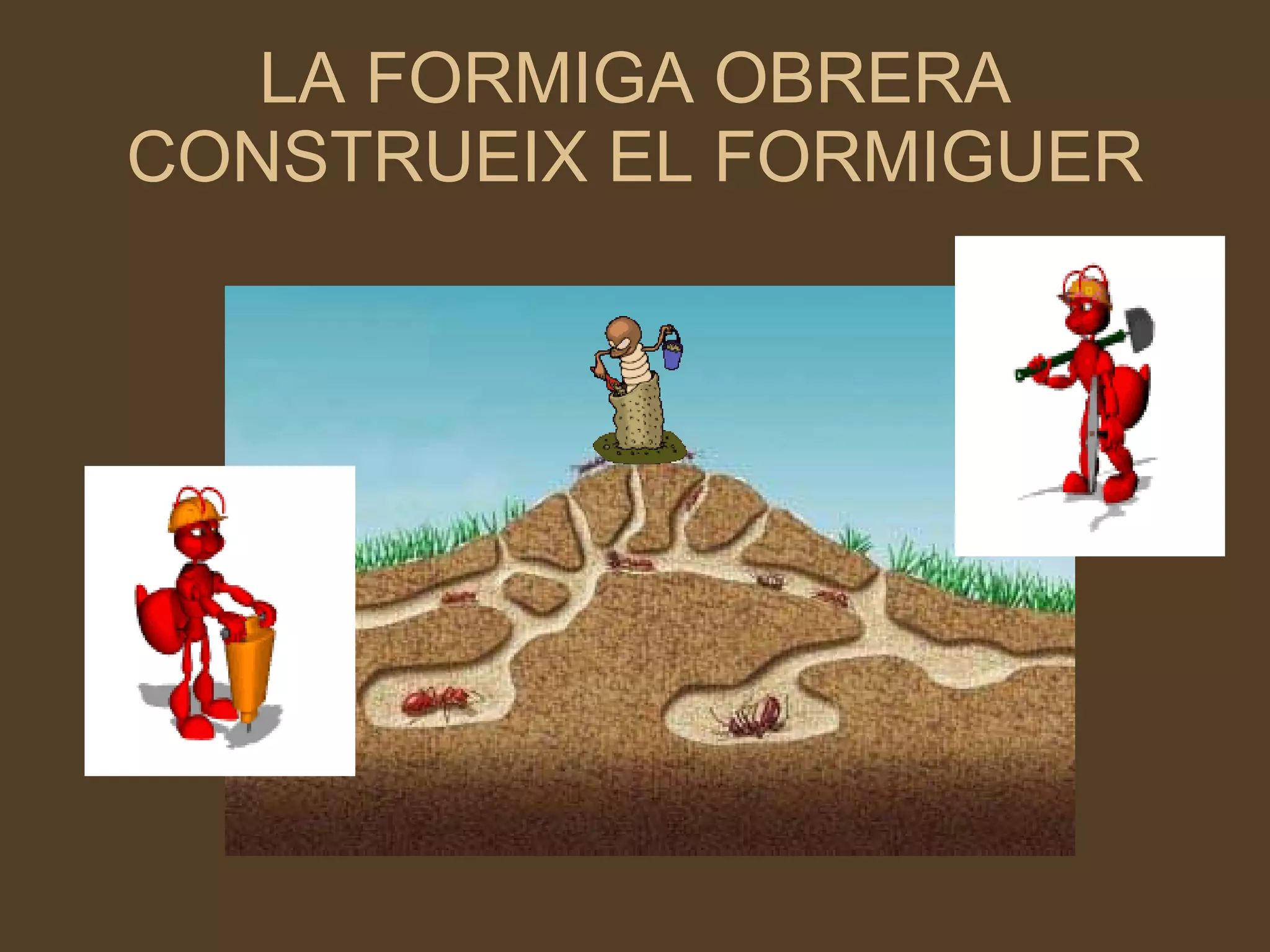 Les Formigues | PPT