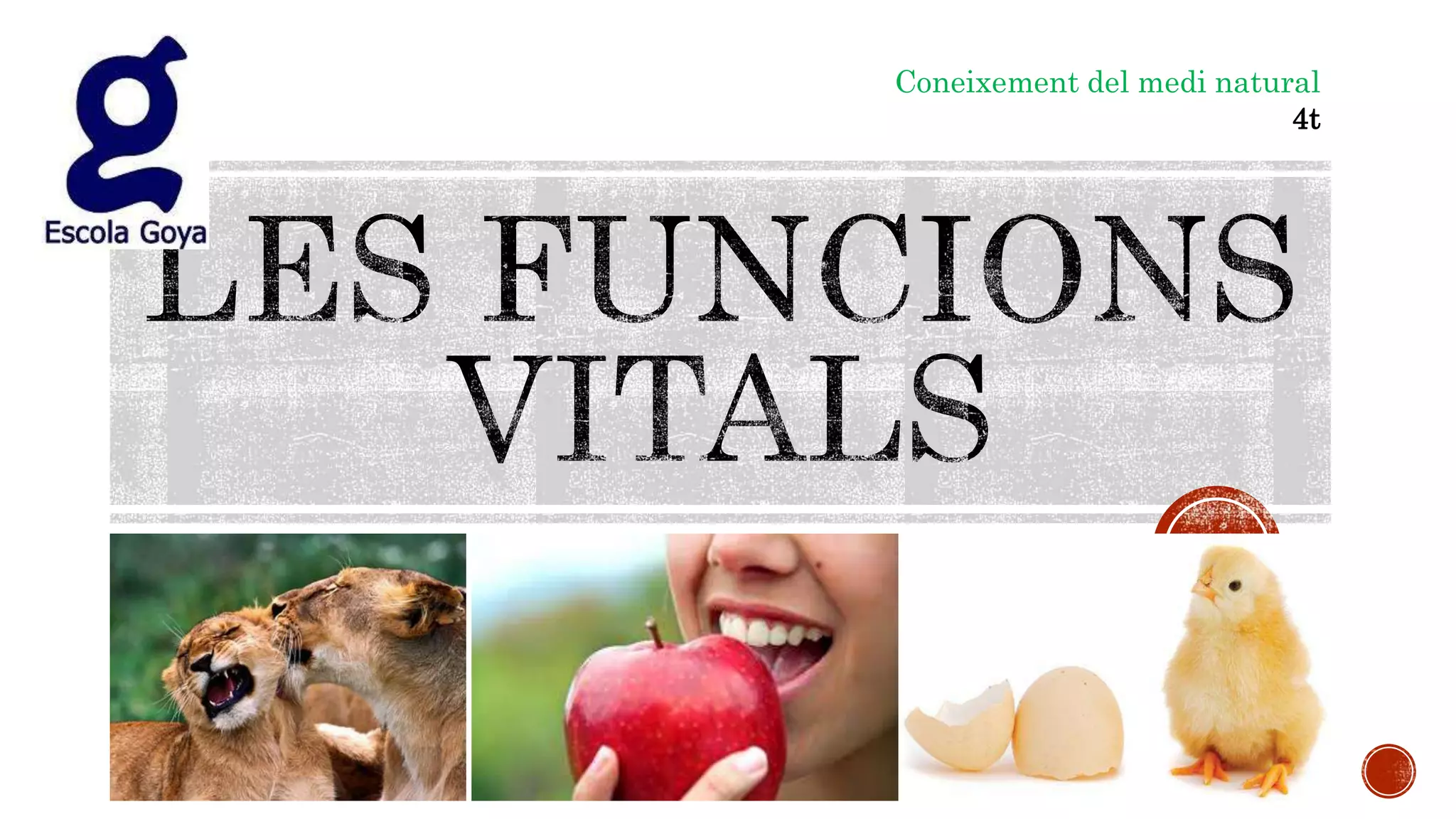 Les funcions vitals PWP | PPTX