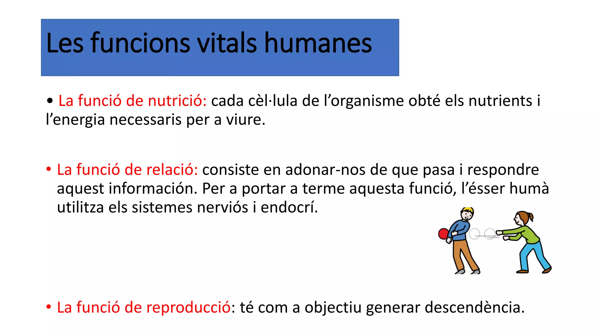 Les funcions vitals pdf 6é | PDF