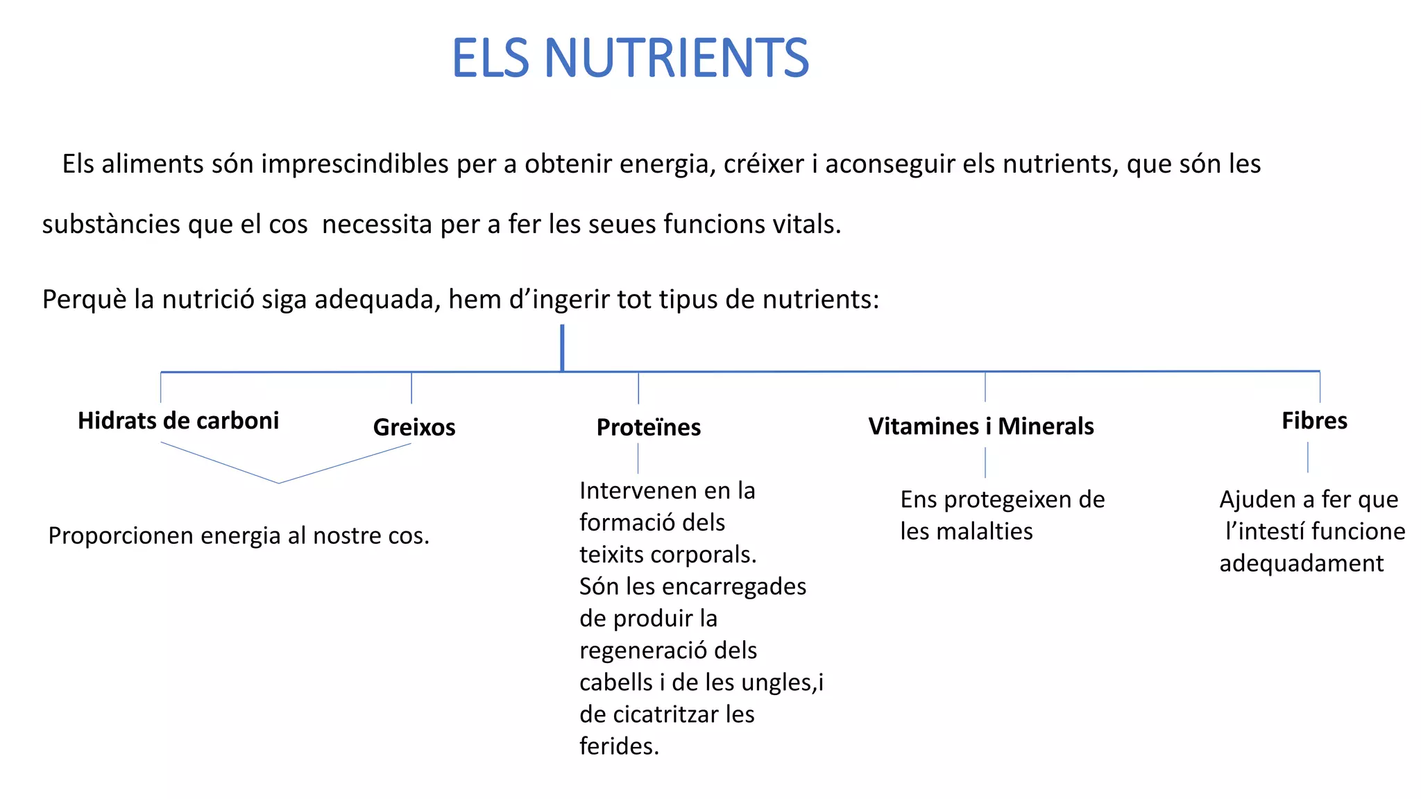 Les funcions vitals pdf 6é | PDF