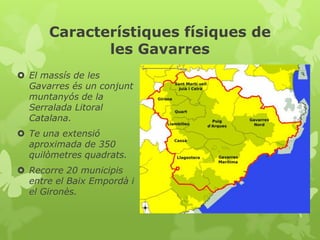 Les gavarres expocisió | PPT