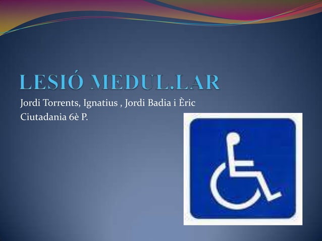 Lesió medul·lar | PPT