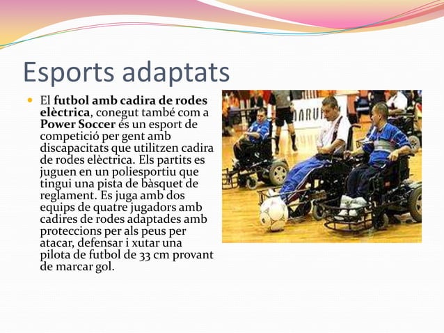 Lesió medul·lar | PPT