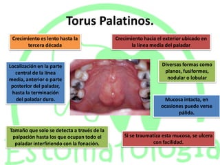 Lesión de tejidos duros Estomatología | PPTX
