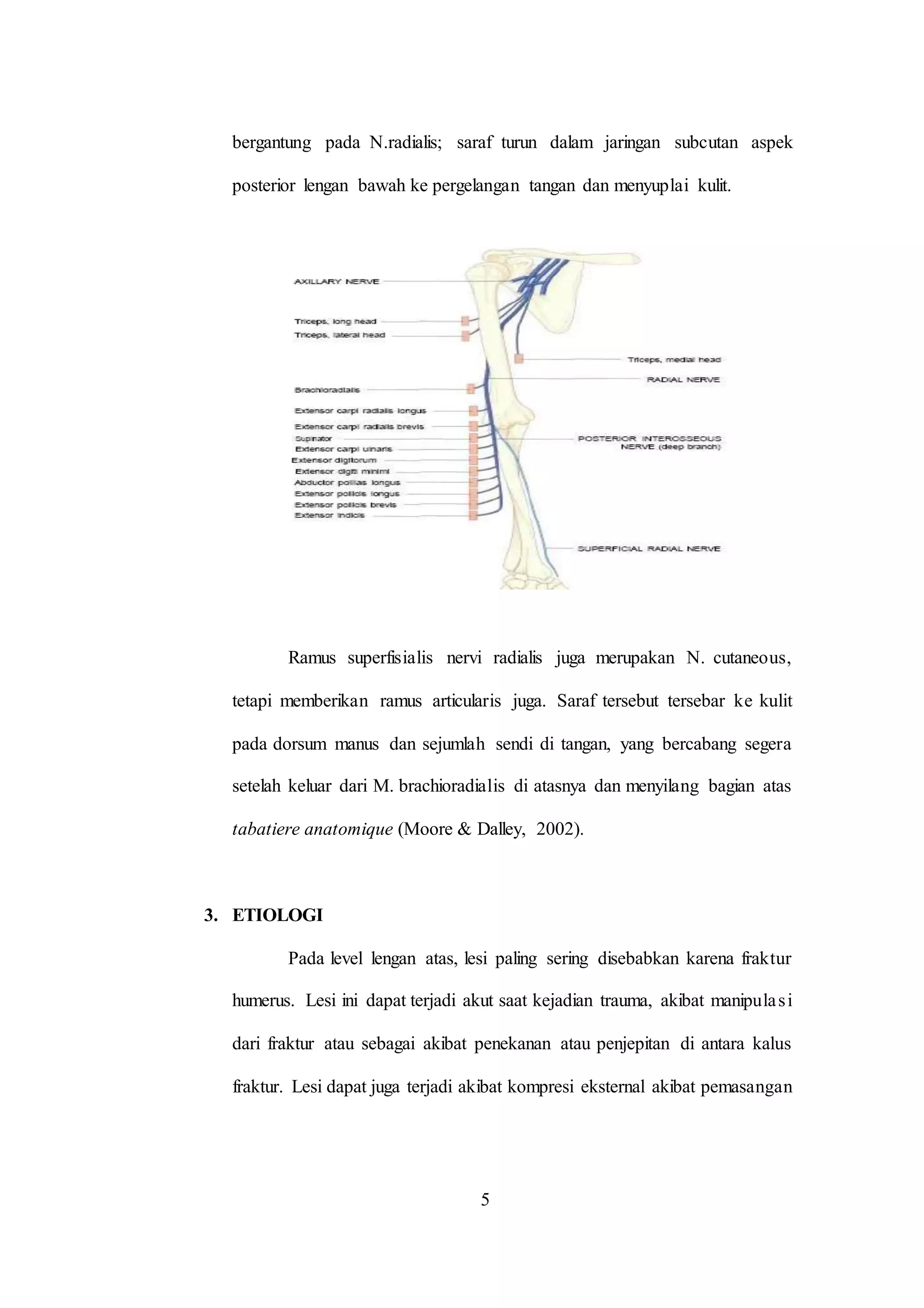 Lesi nervus radialis | DOCX