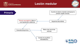 Lesión medular.pptx