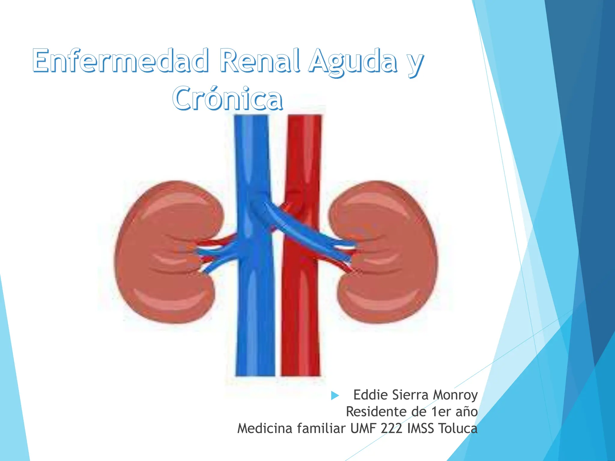 Lesión Renal Aguda.pptx
