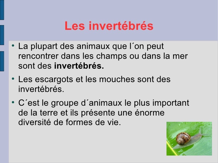 Les invertébrés carlos nicolay