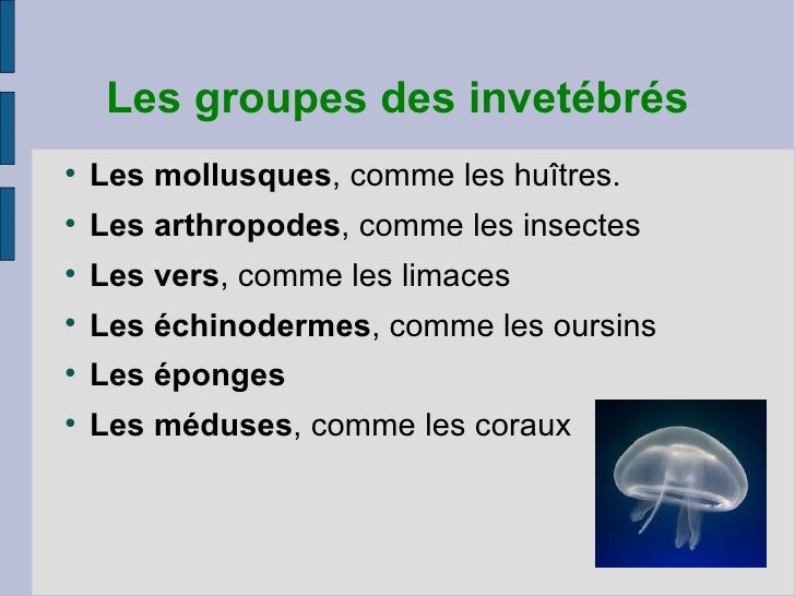 Les invertébrés carlos nicolay