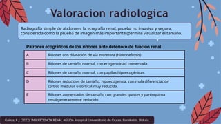 Actualizacion de la lesion-renal-aguda-1.pptx
