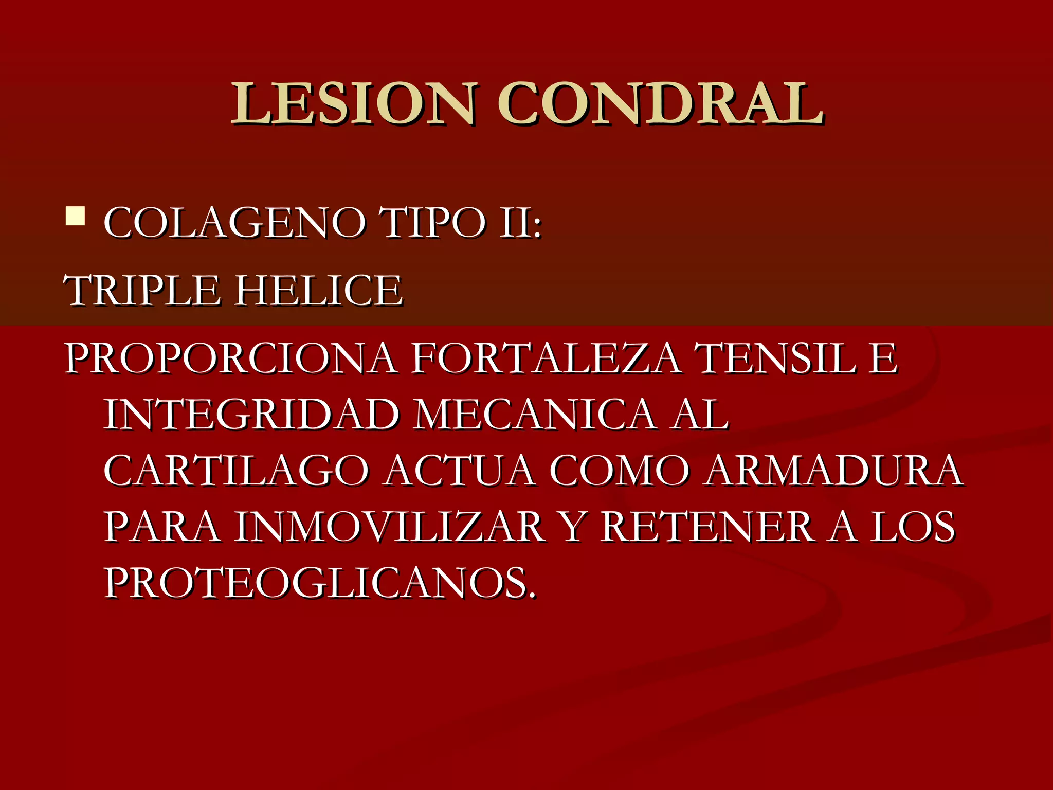 Lesion condral principios y clasificaciones | PPT