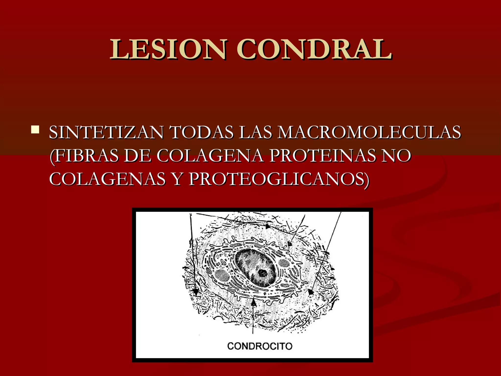 Lesion condral principios y clasificaciones | PPT