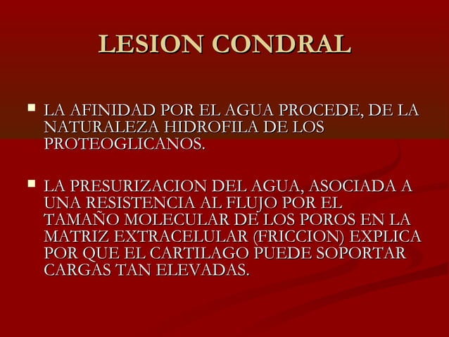 Lesion condral principios y clasificaciones | PPT