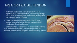 LESION DEL MANGUITO ROTADOR Y BURSITIS.pptx