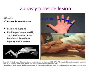 LESION DE TENDONES EXTENSORES.pptx
