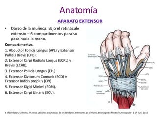 LESION DE TENDONES EXTENSORES.pptx