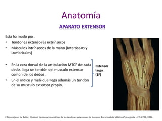 LESION DE TENDONES EXTENSORES.pptx