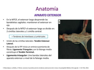 LESION DE TENDONES EXTENSORES.pptx