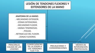 LESION_DE_TENDONES_FLEXORES_Y_EXTENSORES.pptx