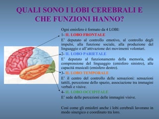LESIONE CEREBRALE ACUISITA | PPT
