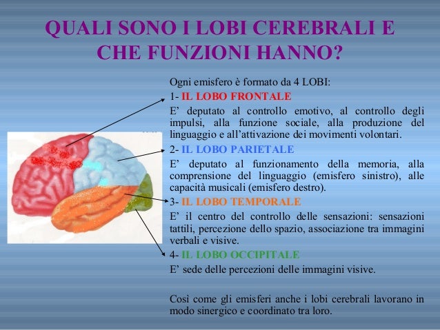 LESIONE CEREBRALE ACUISITA
