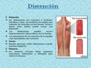 Lesiones | PPTX