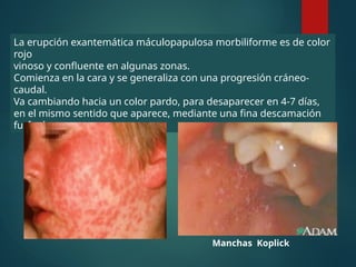 Lesiones dermatológicas de importancia clínica en medicina | PPTX