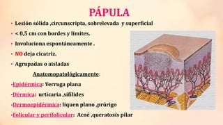 Lesiones-elementales-primarias.pdf odontologia | PDF